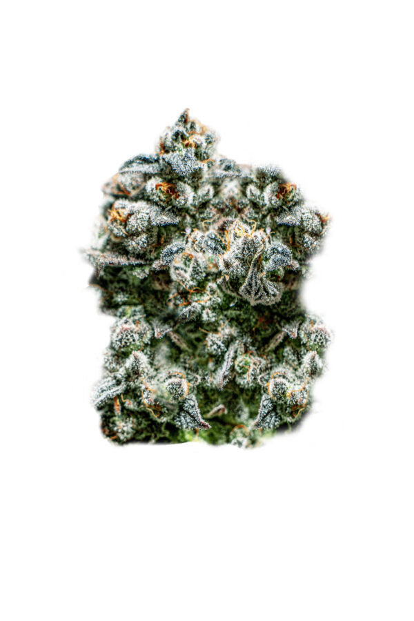 Super Strains - Runtz Auto - Cannabis Seeds – UK Skunkworks