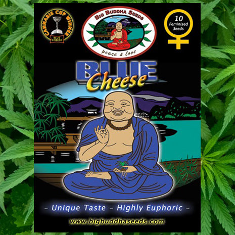 Big Buddha Seeds - Blue Cheese - Cannabis Seeds – UK Skunkworks