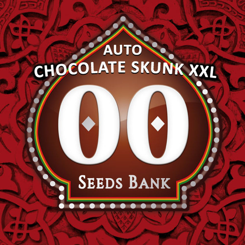 00 Seeds - Auto Chocolate Skunk XXL - Cannabis Seeds – UK Skunkworks
