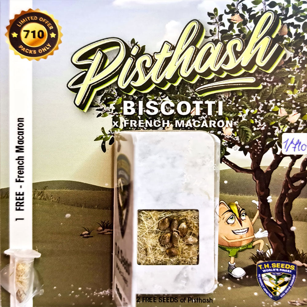 T.H. Seeds - Pisthash - Cannabis Seeds – UK Skunkworks